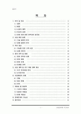 신제품기획서-1페이지