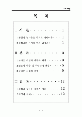 왕십리 뉴타운 재개발 재건축 도시계획 개발론-1페이지