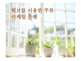 사업 계획서-허브와인-1페이지