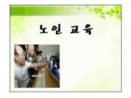 노인교육 프로그램종류와 문제점 및 해결방안-1페이지