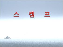 수학교육론  스켐프 파워포인트-1페이지