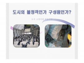 도시 비둘기 고양이 문제-1페이지