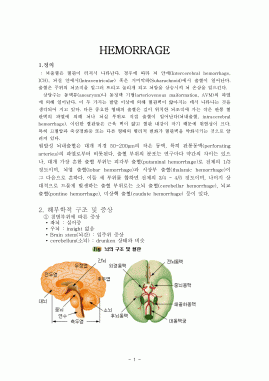 HEMORRAGE 뇌출혈-1페이지