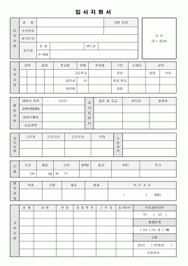 보험회사 손해사정인 자기소개서 합격예문-1페이지