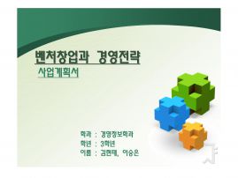 벤처창업과 경영전략(사업계획서)-1페이지