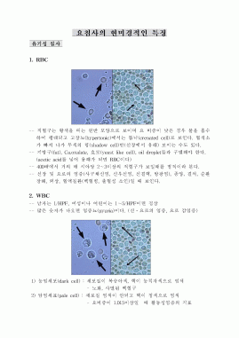 요침사의 유기침사 현미경적 특징-1페이지