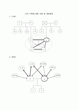 나의 가족에 대한 사정 및 개입방안-1페이지