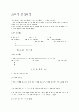 조작적 조건형성-1페이지