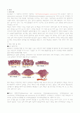 비소세포암(NSCLCa)  사례연구보고서, 케이스스터디-1페이지