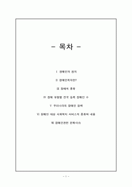 장애인 대상 사회복지 서비스의 종류와 내용 및 문제 이슈-1페이지