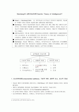 [교육학] 스턴버그(Sternberg)의 삼원지능이론(Triarchic Theory of Intelligence)-1페이지