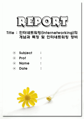 인터네트워킹 의 개념과 특징 및 장비-1페이지