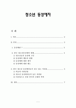 [사회복지] 청소년 동성애자-1페이지