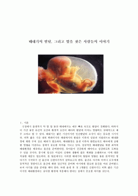 태내발달과 태내환경-1페이지