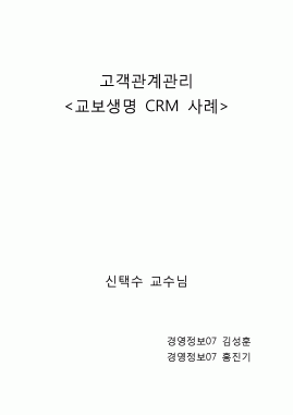 교보생명 CRM _ 성공요인분석-1페이지