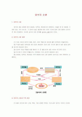 암석의 순환-1페이지