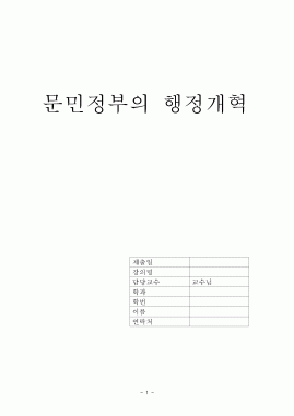 김영삼, 문민정부의 행정개혁-1페이지