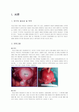 수술실-TAH.자궁근종 case study-1페이지