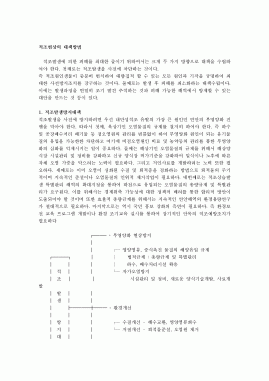 적조현상의 대책방법-1페이지