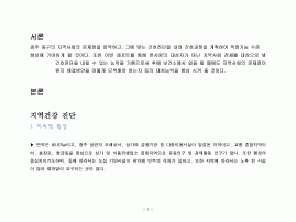 광주 지역사회 간호과정-1페이지