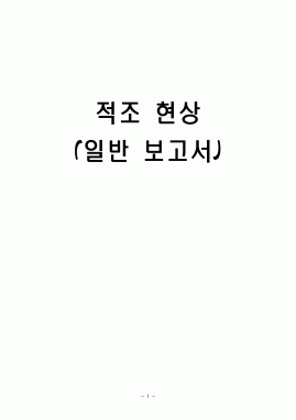 적조현상(일반 보고서)-1페이지