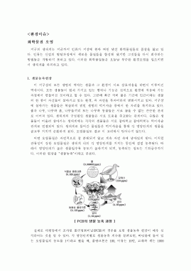 환경이슈(화학물질오염)-1페이지