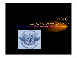 icao 조사-1페이지