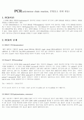 PCR(polymerase chain reaction, 중합효소연쇄반응)-1페이지