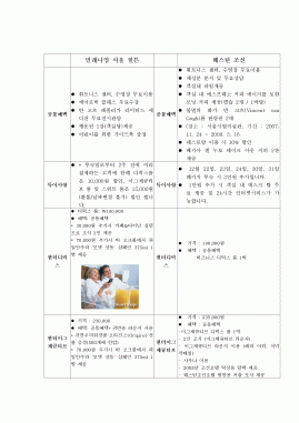 서울힐튼호텔과 웨스튼조선호텔 패키지 상품비교-1페이지