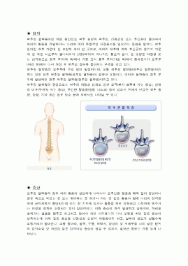 척추관협착증에 대한 문헌고찰-1페이지