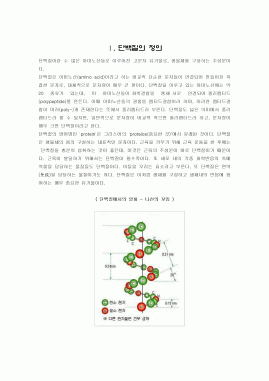 단백질에 관하여 (정의, 구조, 기능 ,대사,영양, 소화 흡수 기타등등 )-1페이지