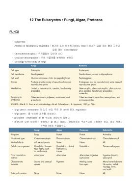 진핵생물- 곰팡이, 조류, 원생동물 -1페이지