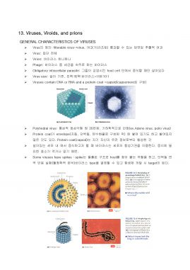 바이러스 및 프리온 -1페이지