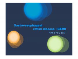 역류성 식도 질환 (GERD)-1페이지