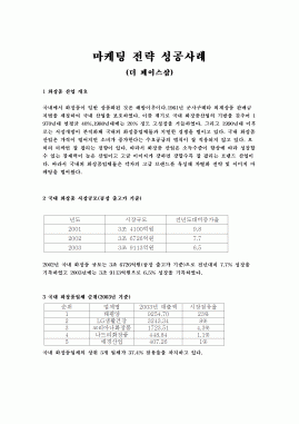 S-T-P를 효율적으로 활용한 성공적인 마케팅 사례-1페이지