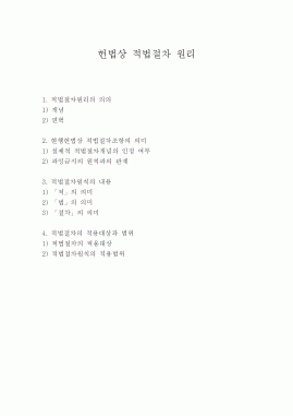 헌법상 적법절차 원리-1페이지