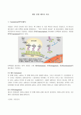  [생물실험] 번역, 연전사 중합효소-1페이지