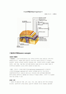 뇌수막염(meningitis)-1페이지