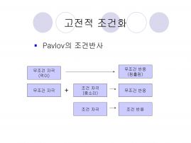 소비자행동 고전적수단적조건화-1페이지