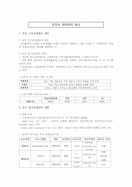 호주의 케어복지제도-1페이지