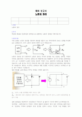 노톤의 정리 결과 및 예비 보고서-1페이지