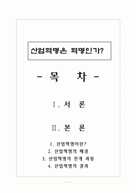 산업혁명은 혁명인가? -1페이지