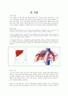 간[liver]에 대하여 -1페이지