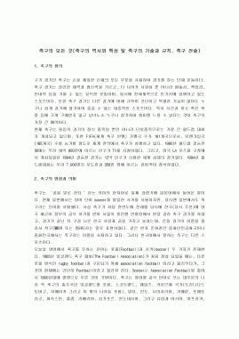 [축구기술, 축구] 축구의 모든 것(축구의 역사와 특성 및 축구의 기술과 규칙, 축구 전술)-1페이지