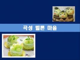 곡성 멜론 마을 기획(지역 축제 기획)-1페이지