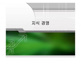 [지식경영A+] 놀부,한국 야구르트,SAMT,DMS 지식경영사례 분석-1페이지