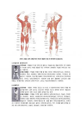 태권도 기본 자세와 신체근육발달-1페이지