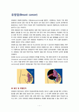 유방암(Breast cancer)-1페이지