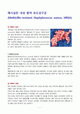 메시실린 내성 황색 포도상구균(Methicillin-resistant Staphylococcus aureus, MRSA)-1페이지