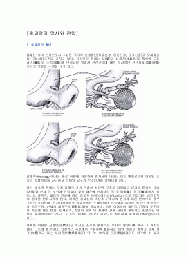 홍채학의 역사와 전망-1페이지